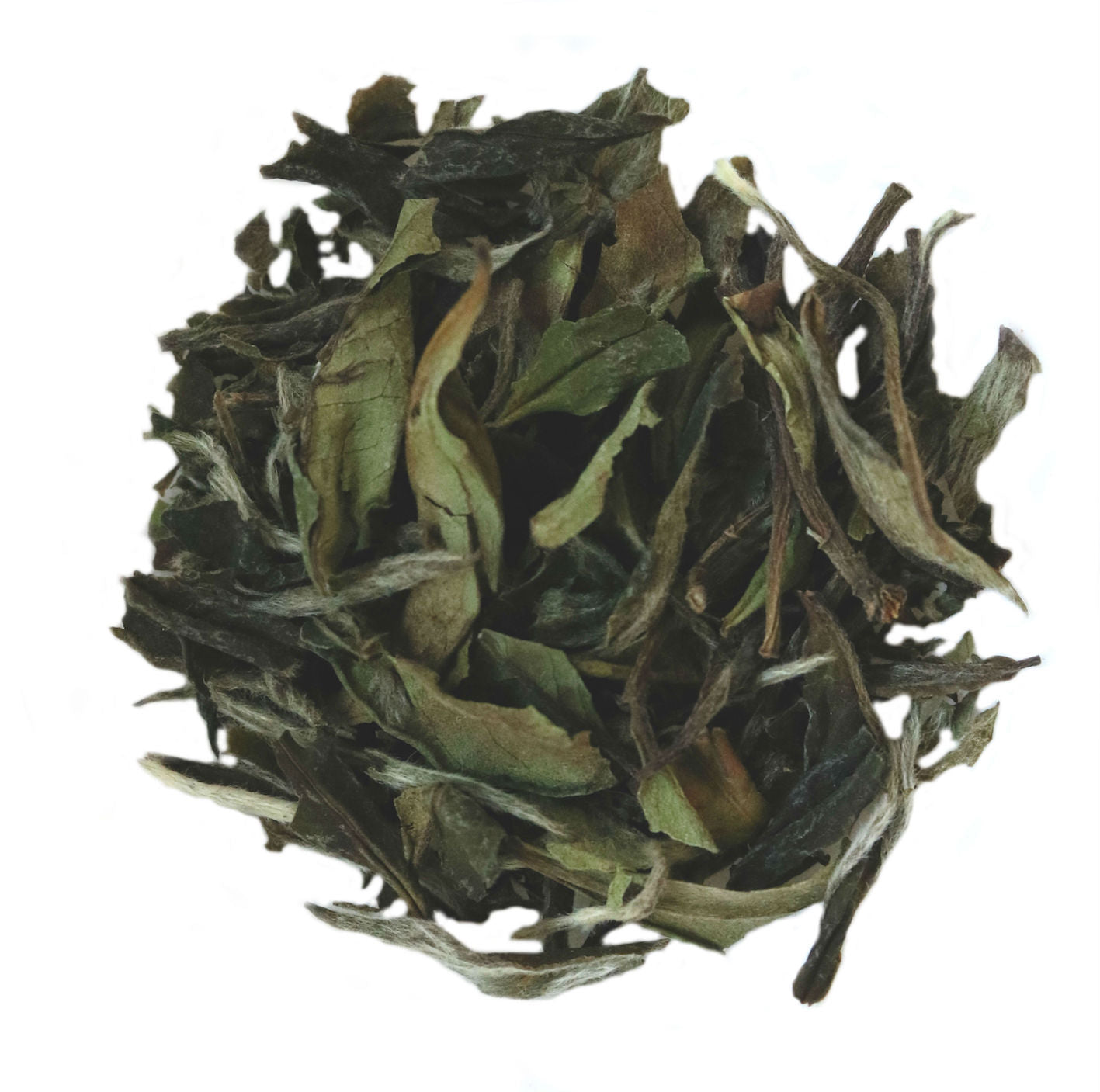 Bai Mu Dan – Thé blanc floral et élégant – TheTeaTee